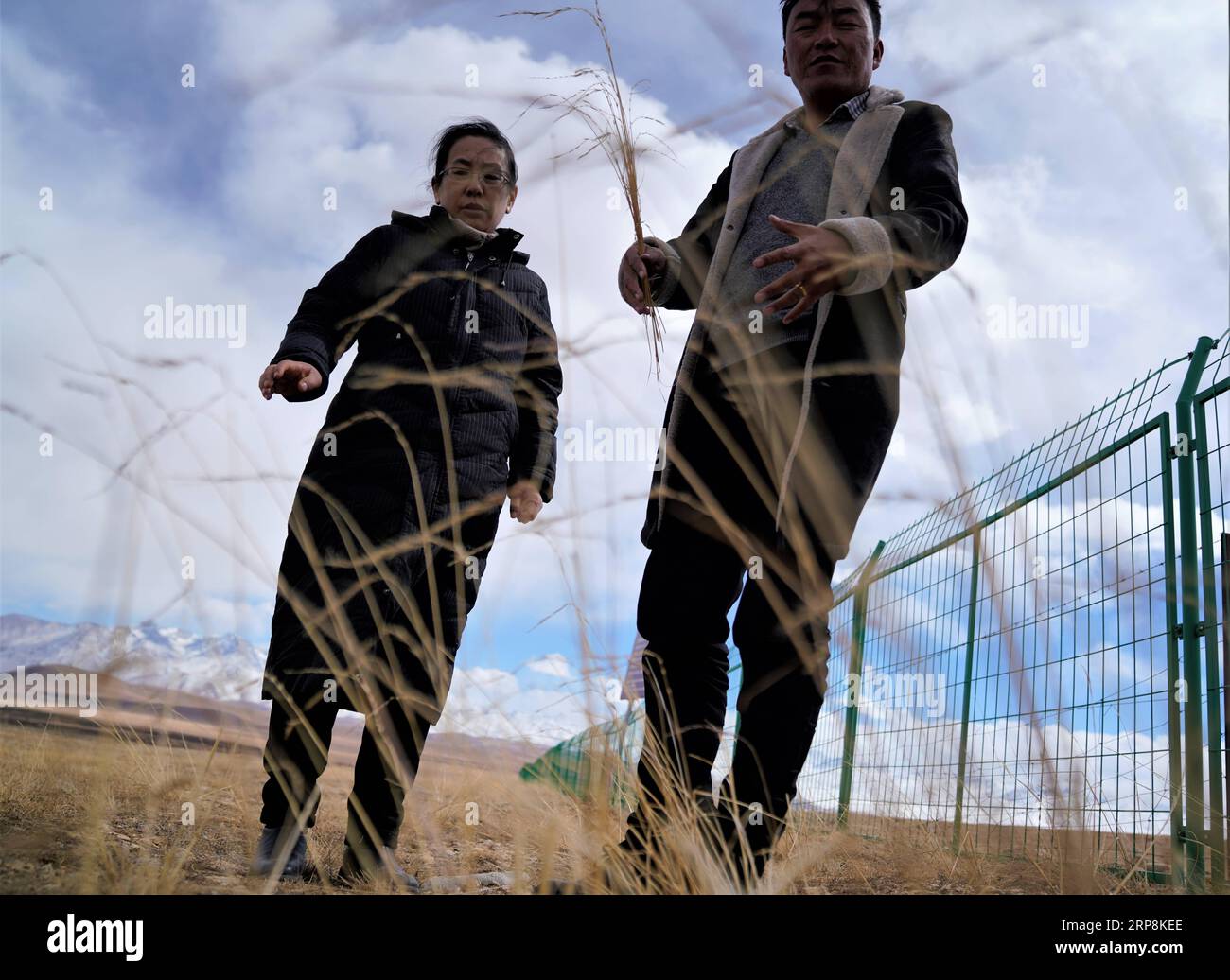 Tibet peru hi-res stock photography and images - Alamy