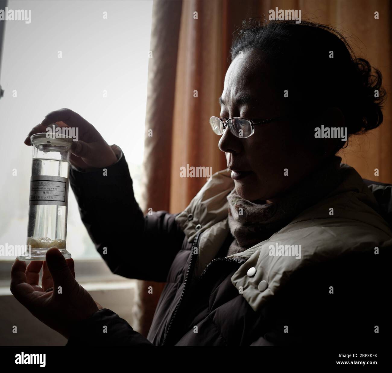 Arebeing hi-res stock photography and images - Alamy