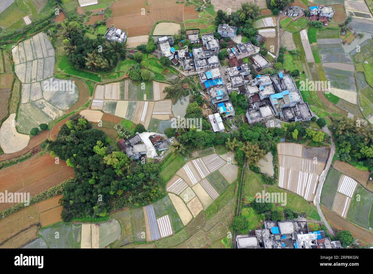 Chengjiang and chengjiang hi-res stock photography and images - Alamy