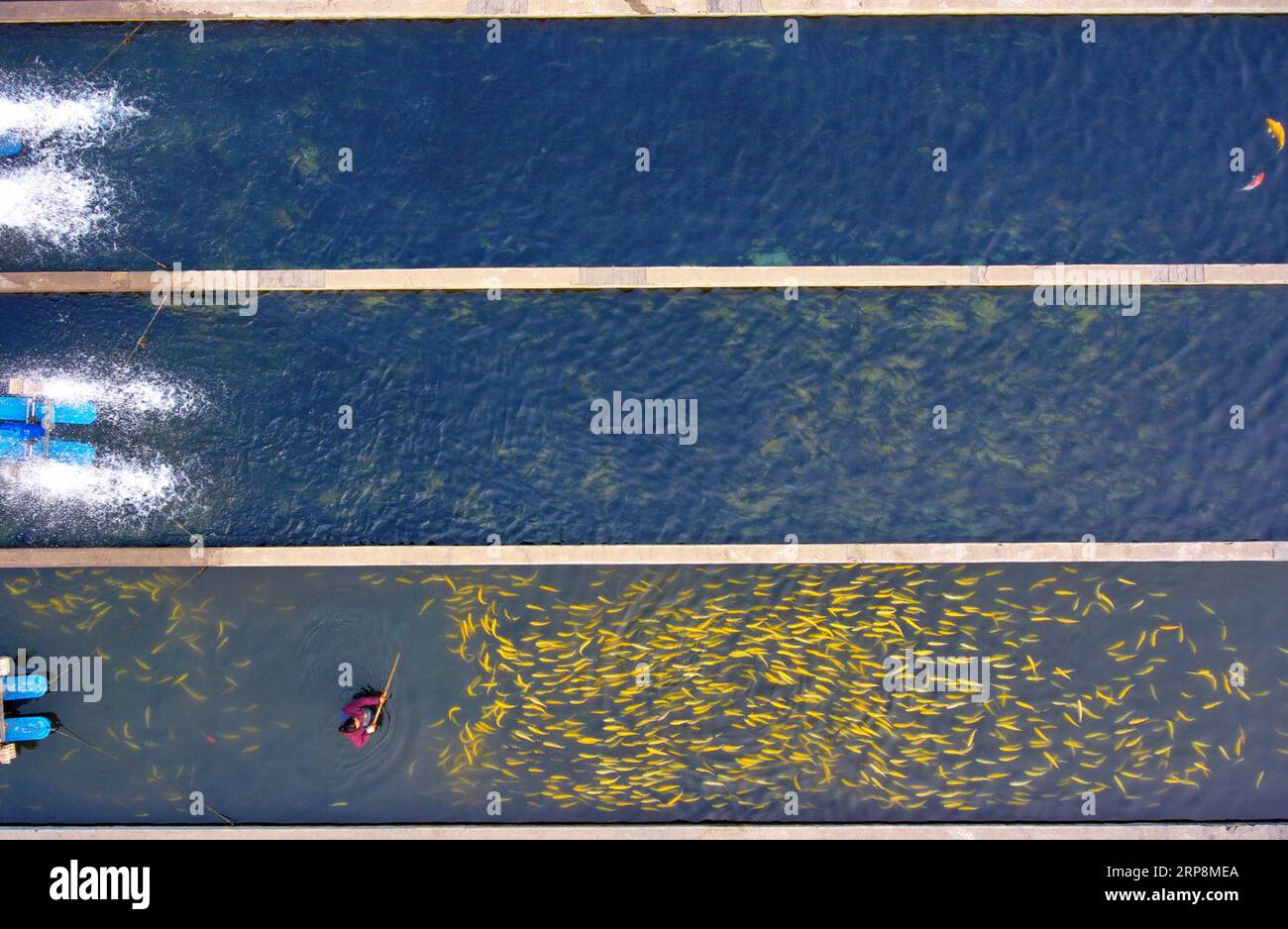 Well off society hi-res stock photography and images - Alamy