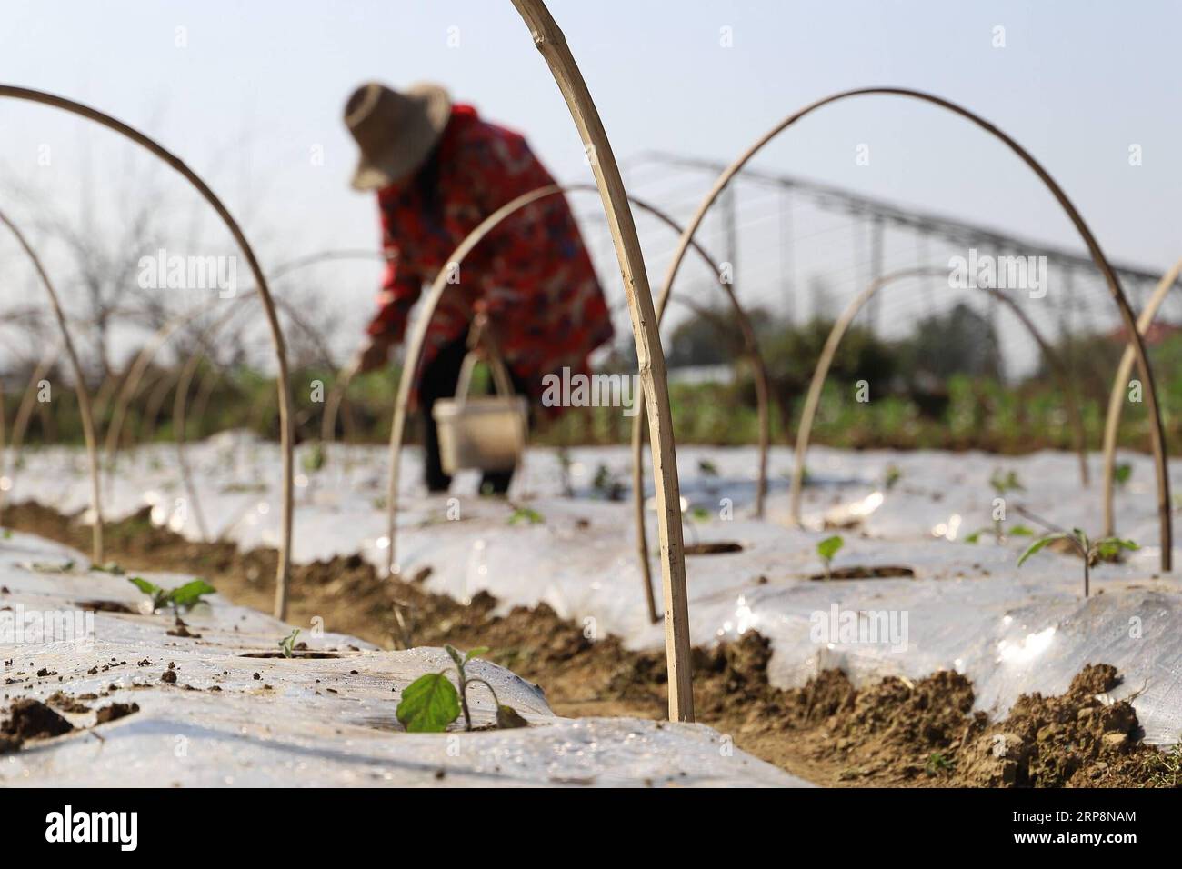 Liqiang hi-res stock photography and images - Alamy