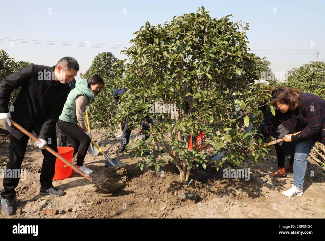 China arbor day hi-res stock photography and images - Alamy