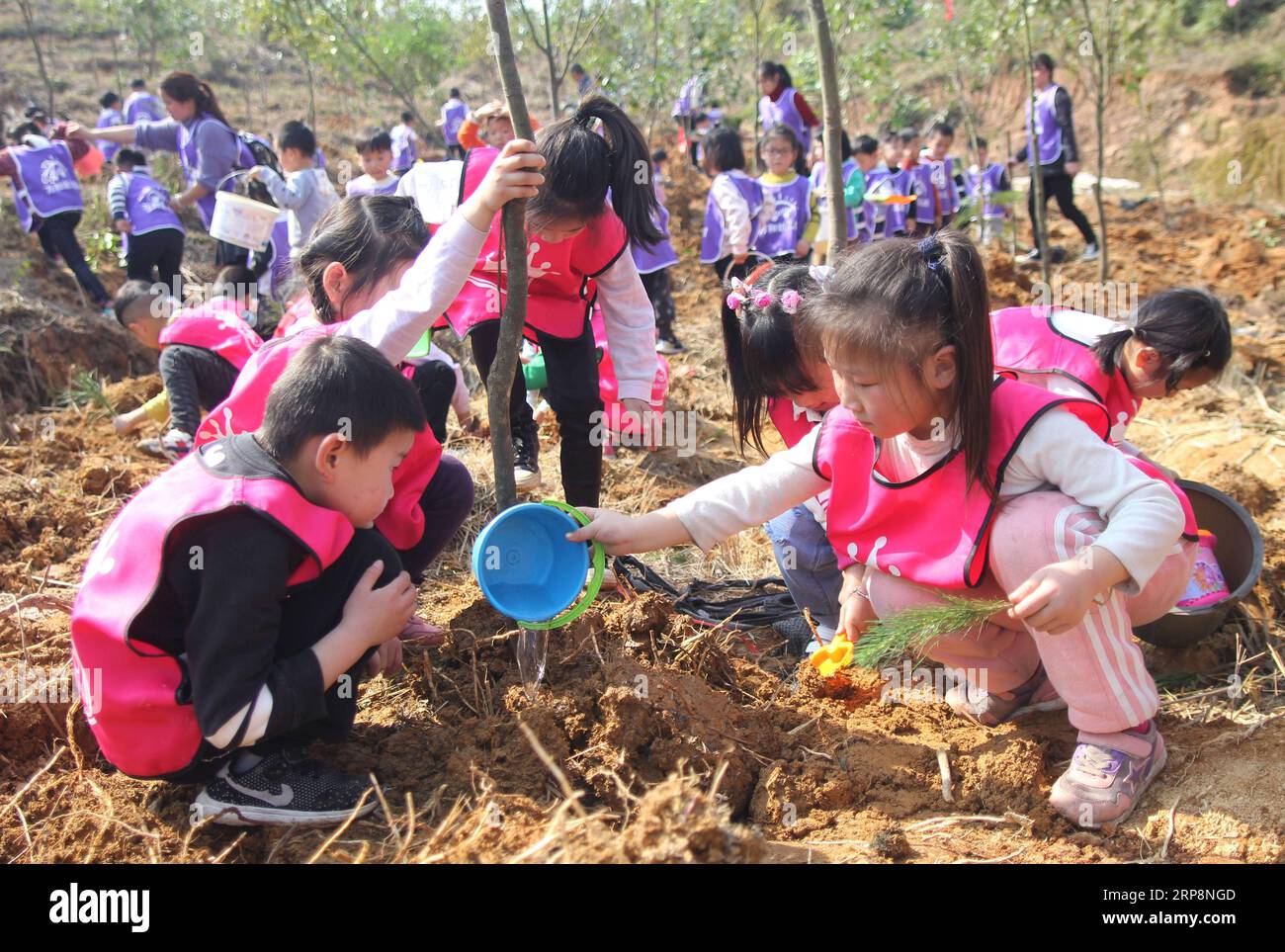 Arbor day planting trees hi-res stock photography and images - Alamy