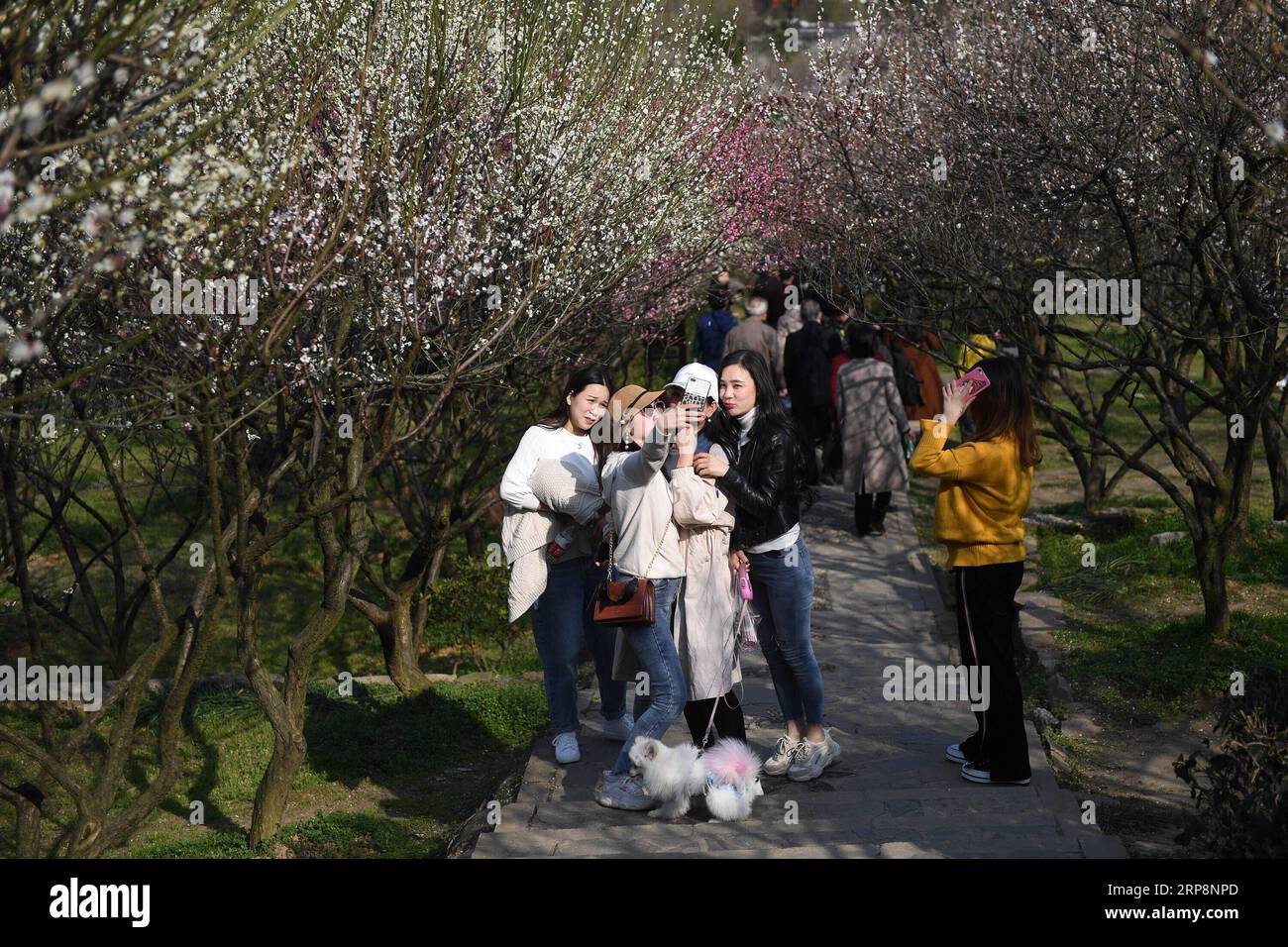 Guangfu township hi-res stock photography and images - Alamy
