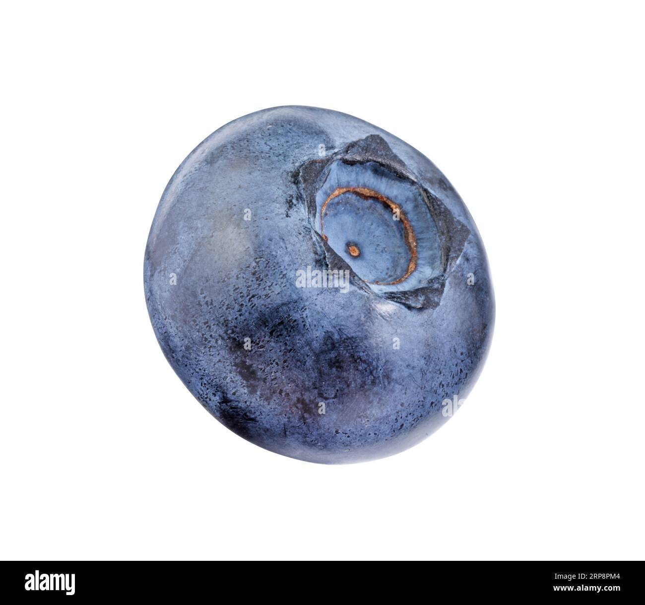 One fresh ripe blueberry isolated on white Stock Photo - Alamy