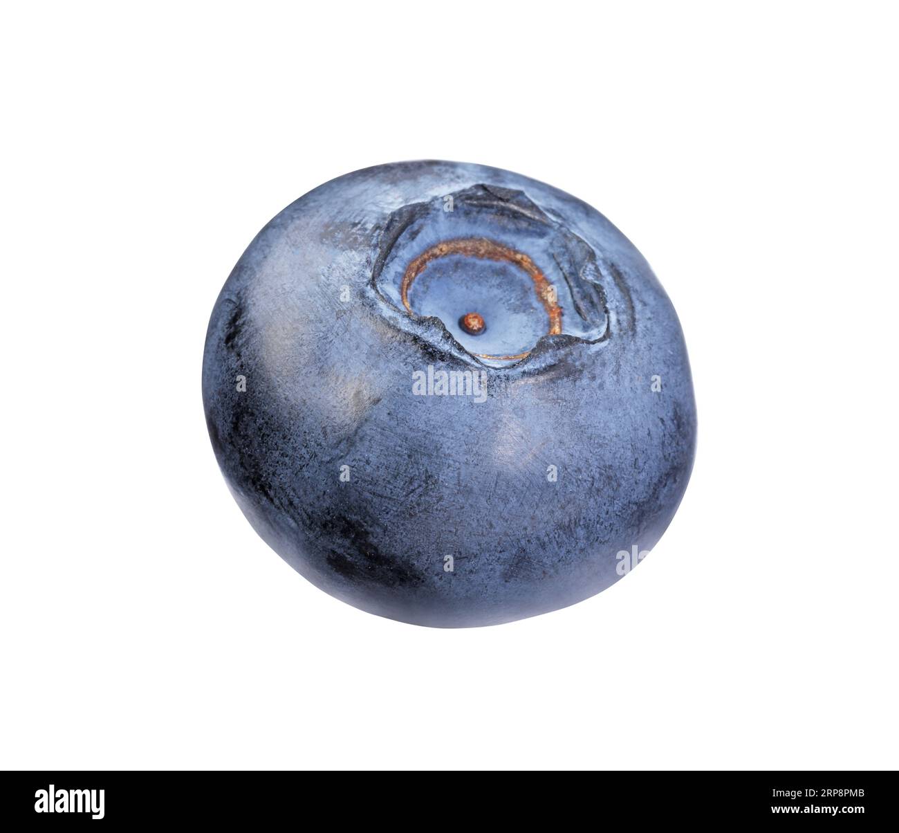 One fresh ripe blueberry isolated on white Stock Photo - Alamy