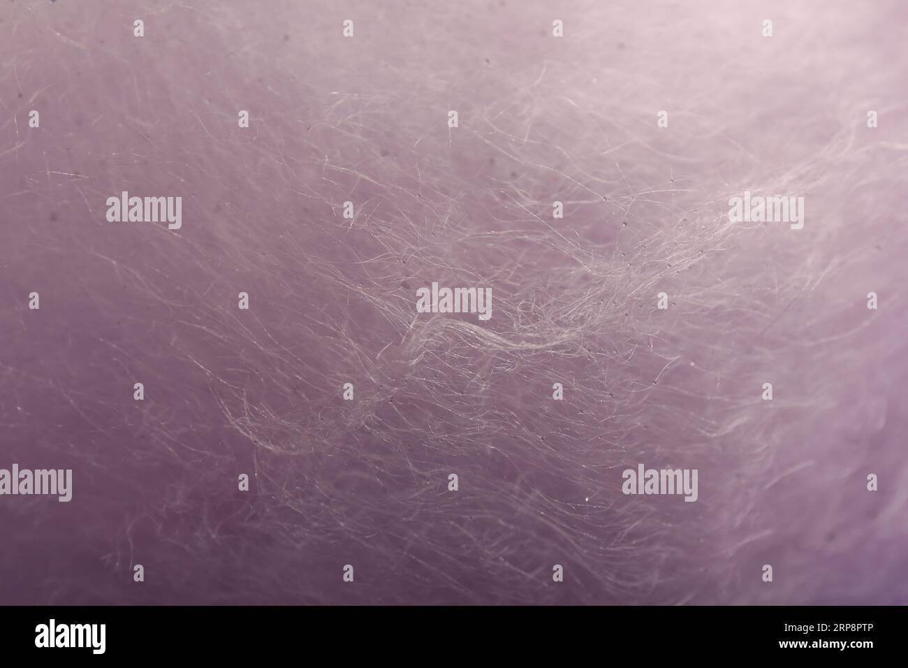 Purple cotton candy as background, closeup view Stock Photo - Alamy
