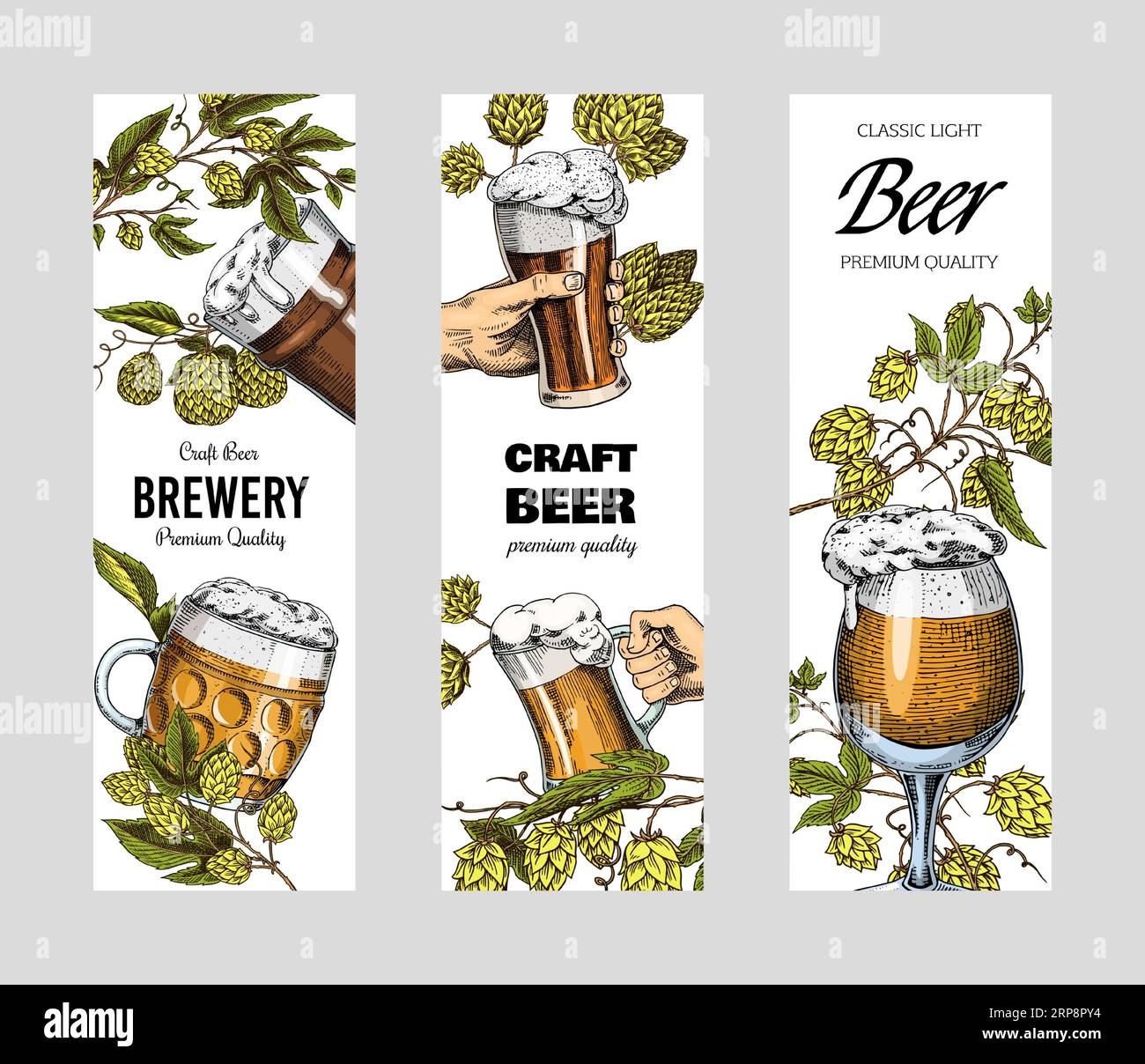 Hop cones and Barley. Malt Beer for poster or banner. Engraved vintage ...