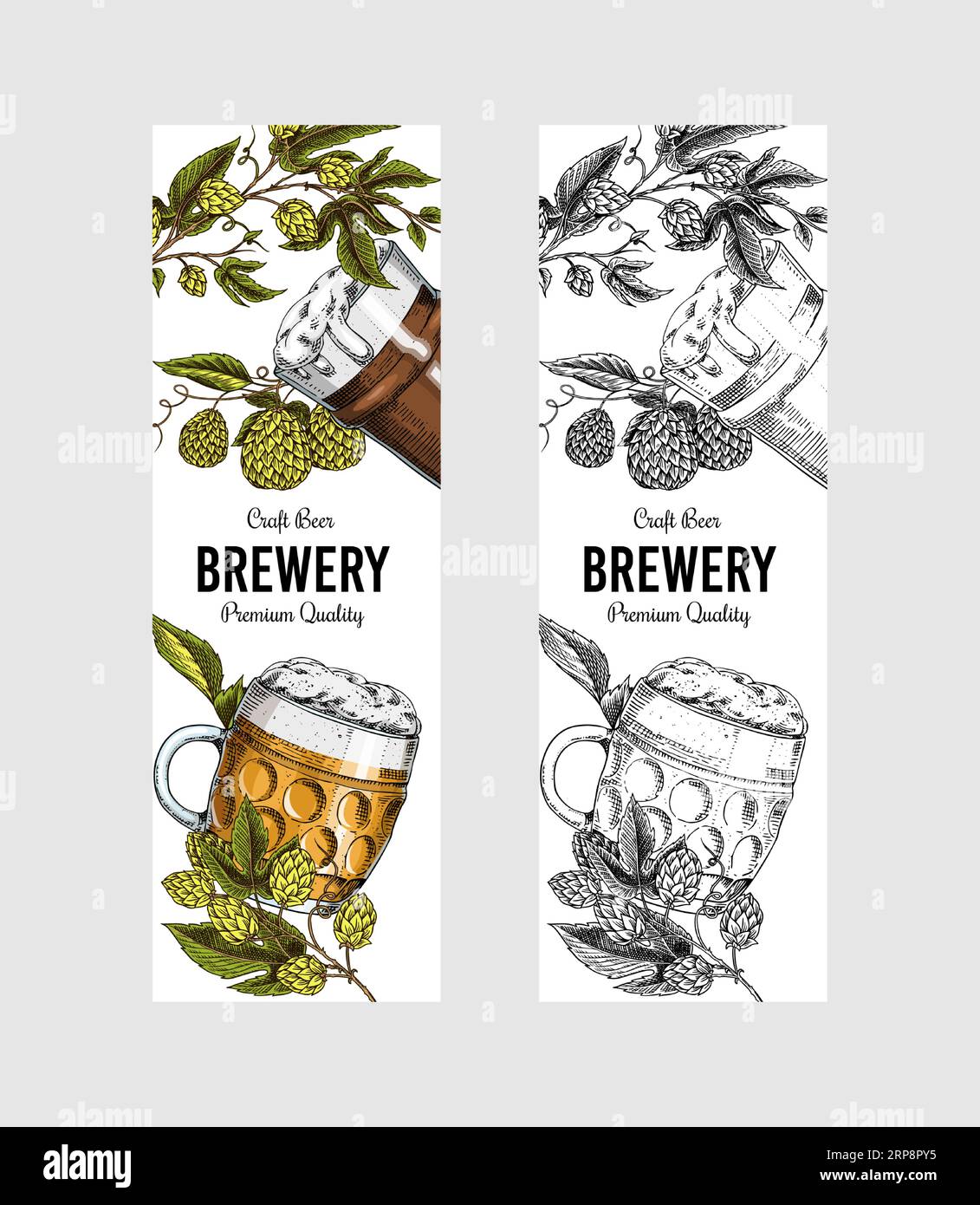 Hop cones and Barley. Malt Beer for poster or banner. Engraved vintage ...