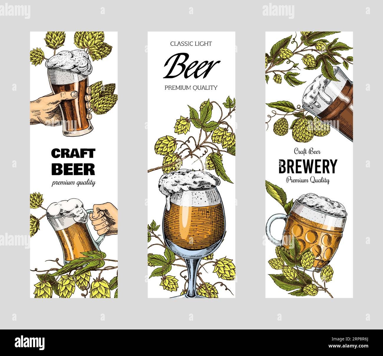 Hop cones and Barley. Malt Beer for poster or banner. Engraved vintage ...