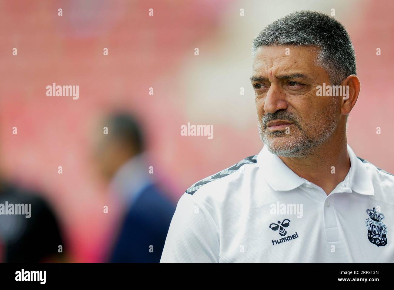 Pimienta española hi-res stock photography and images - Alamy