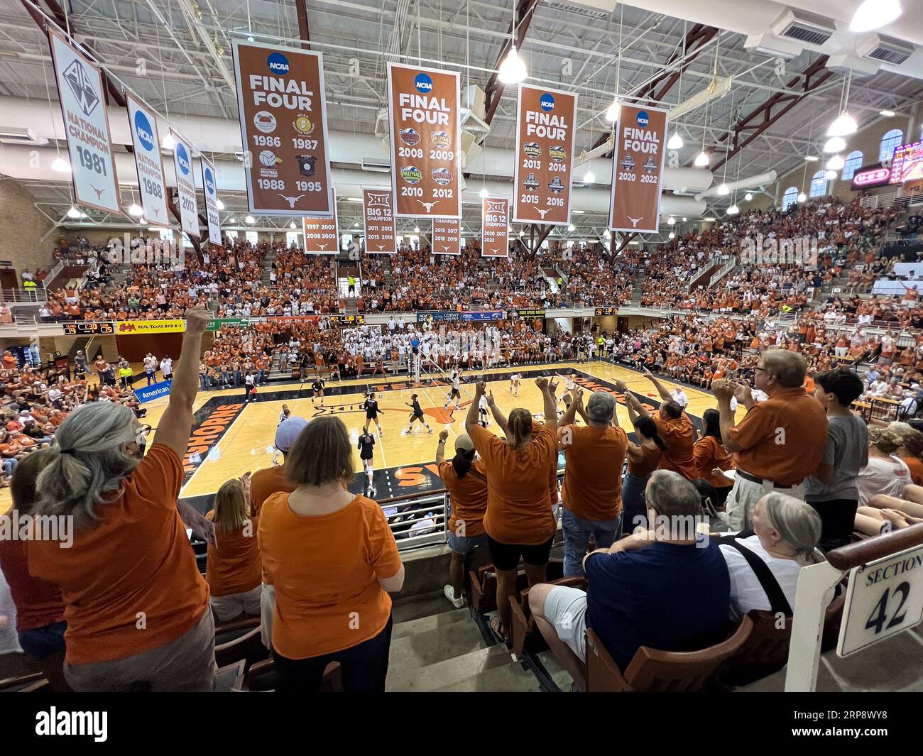 Texas longhorns womens volleyball hi-res stock photography and images ...