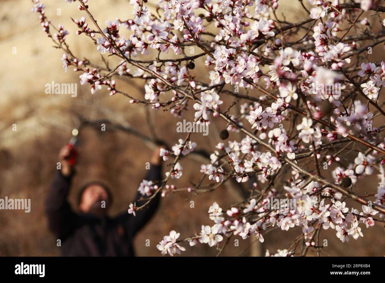 Liu yutian hi-res stock photography and images - Alamy