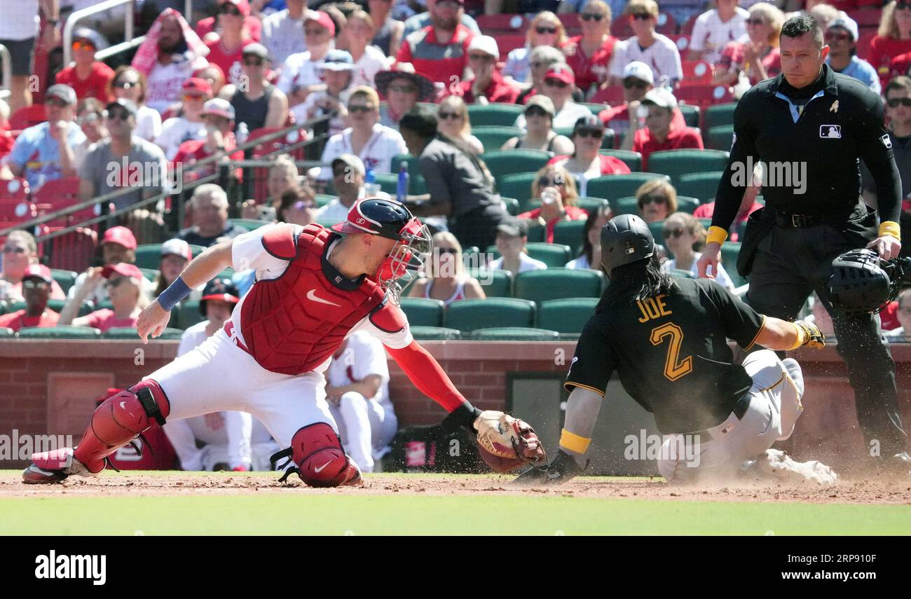 St. Louis, United States. 03rd Sep, 2023. St. Louis Cardinals catcher ...