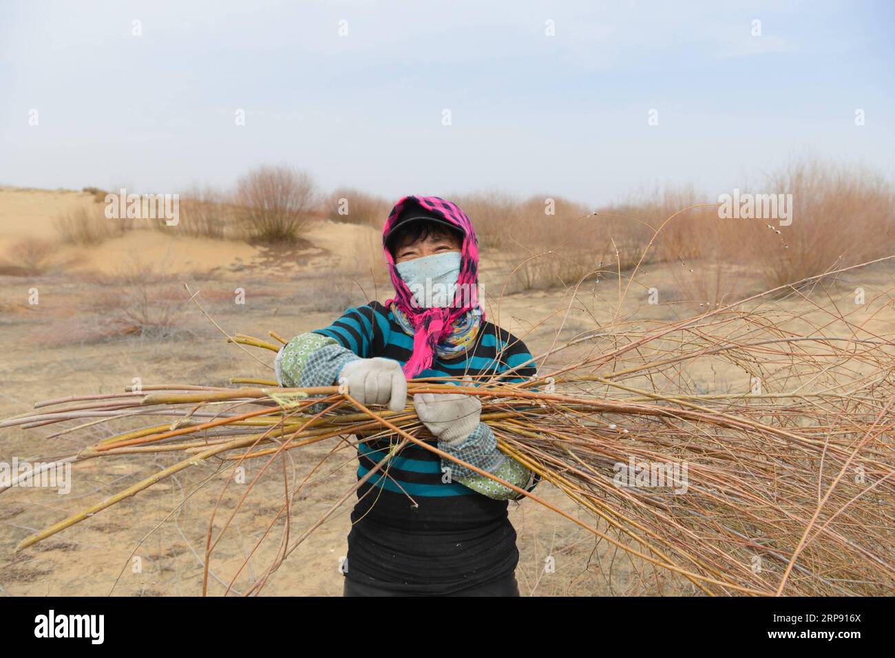 Desert planting trees hi-res stock photography and images - Alamy