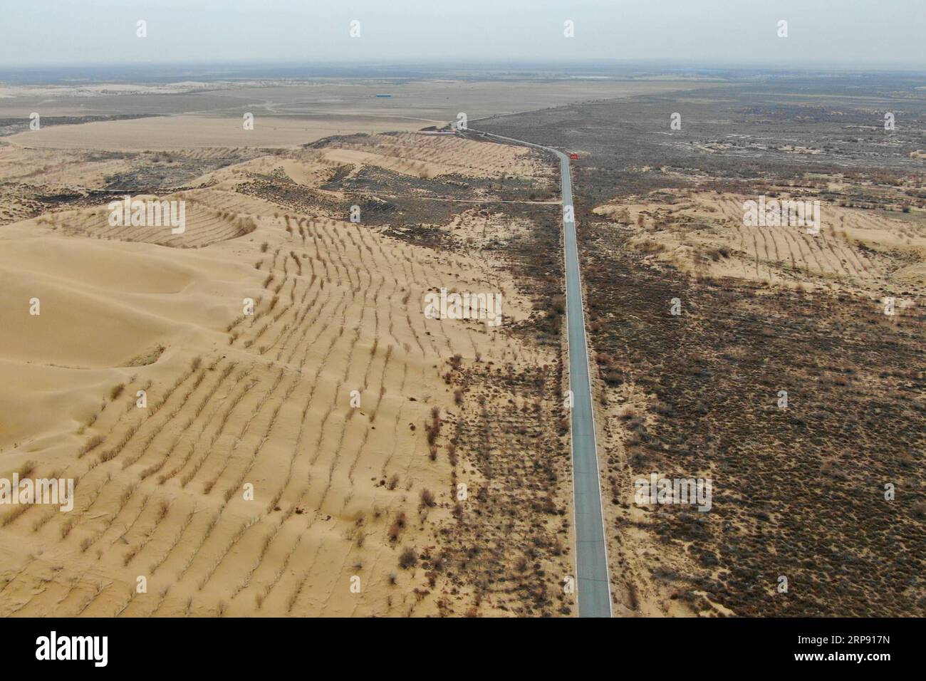 Planting to prevent desertification hi-res stock photography and images ...