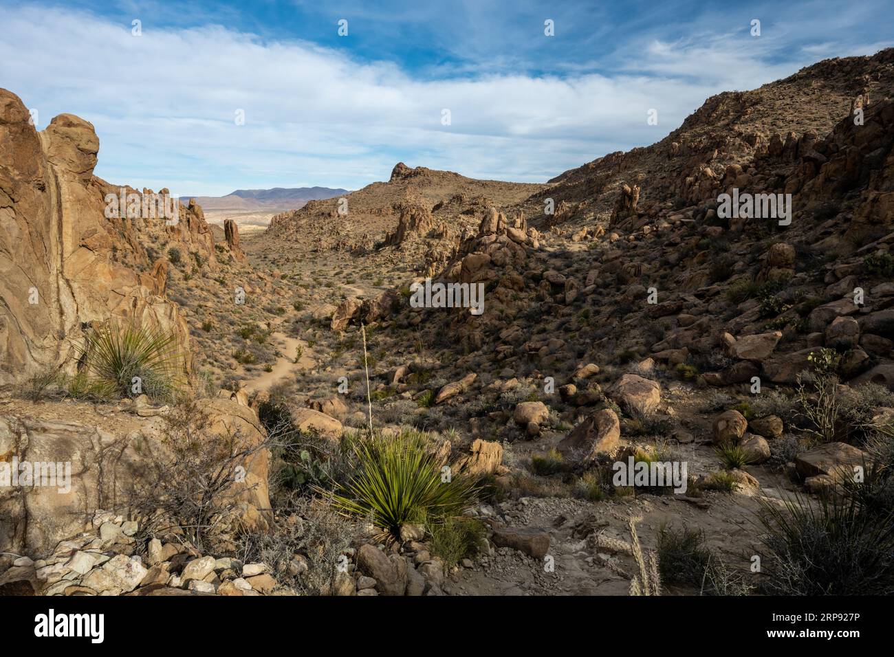 The grapevine hills texas hi-res stock photography and images - Alamy