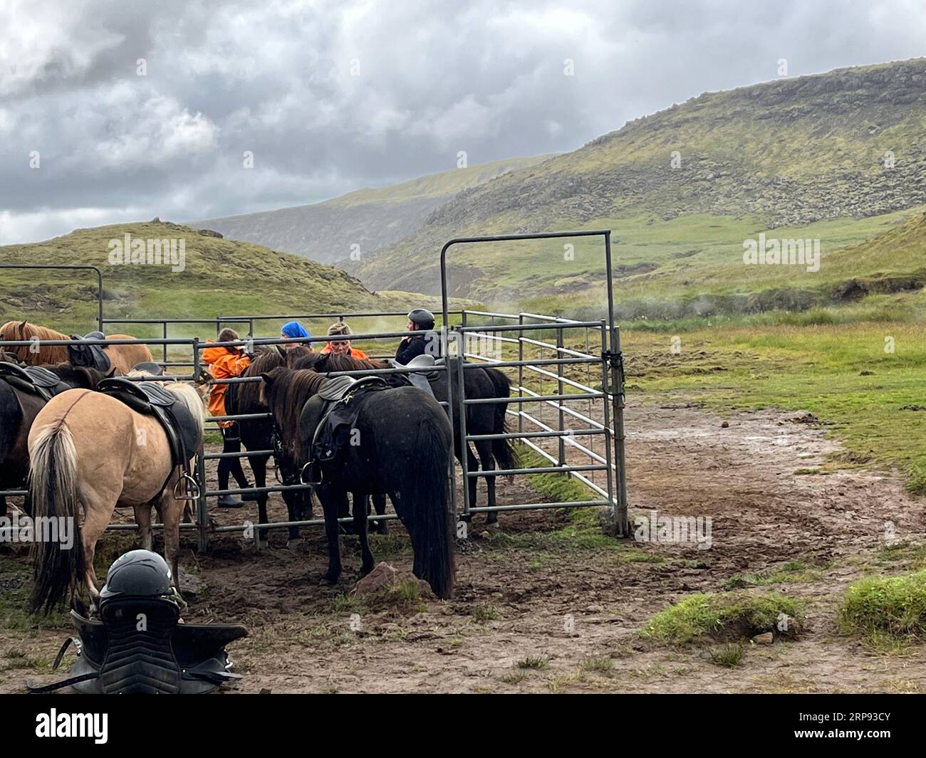 Horse Riding Paddock in the Reykjadalur Valley, Iceland. Valley is ...
