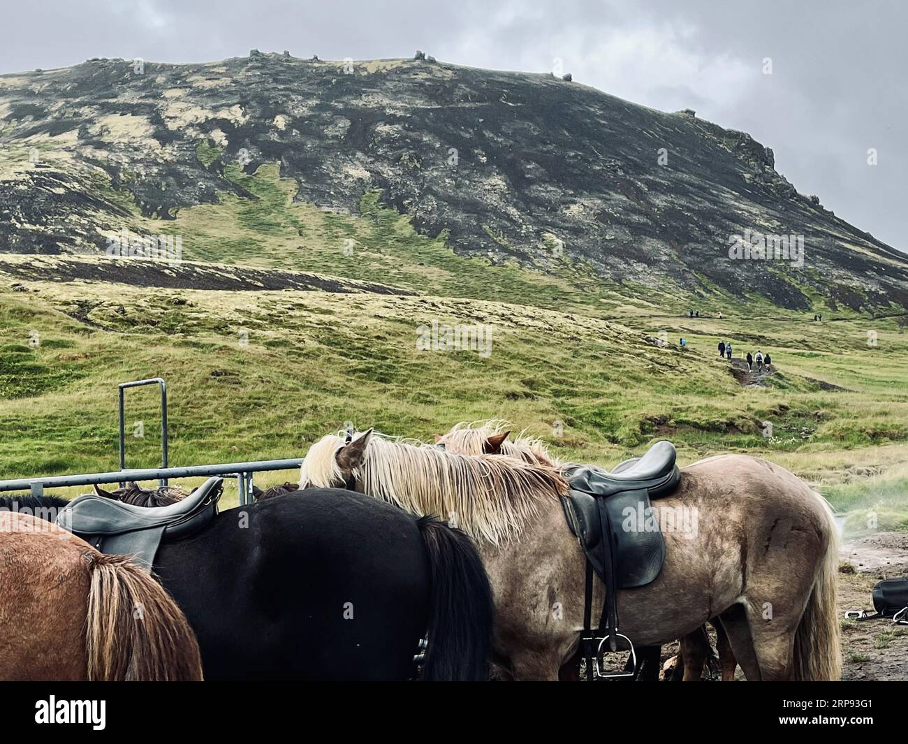 Riding paddock hi-res stock photography and images - Alamy