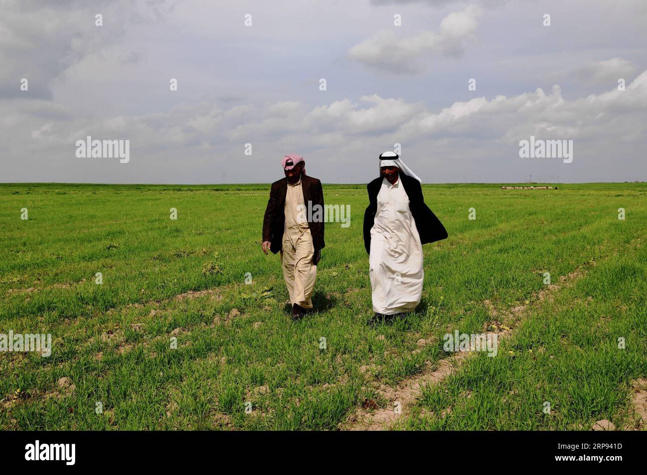Irrigation farm iraq hi-res stock photography and images - Alamy