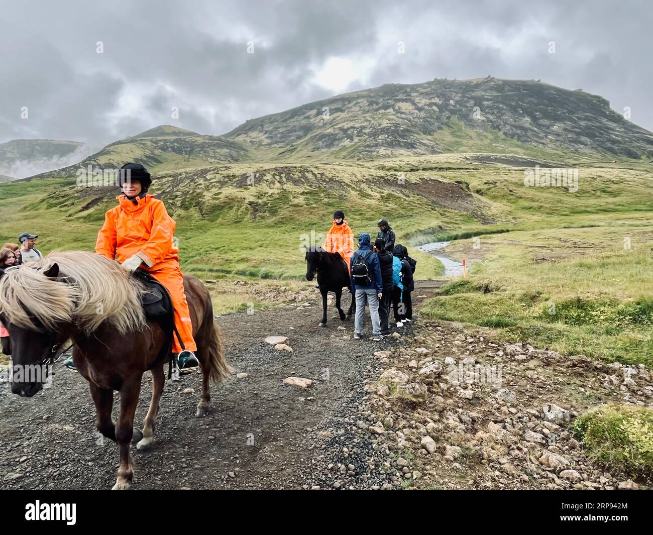 Horse Riding Tour of Reykjadalur Valley, Iceland. Valley is known for ...