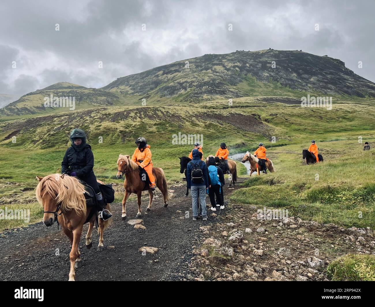 Native Icelandic People