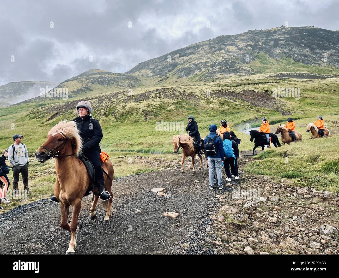 Horse Riding Tour of Reykjadalur Valley, Iceland. Valley is known for ...