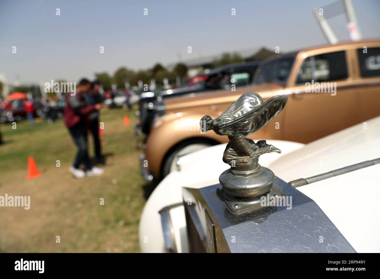 Smart village cairo hi-res stock photography and images - Alamy