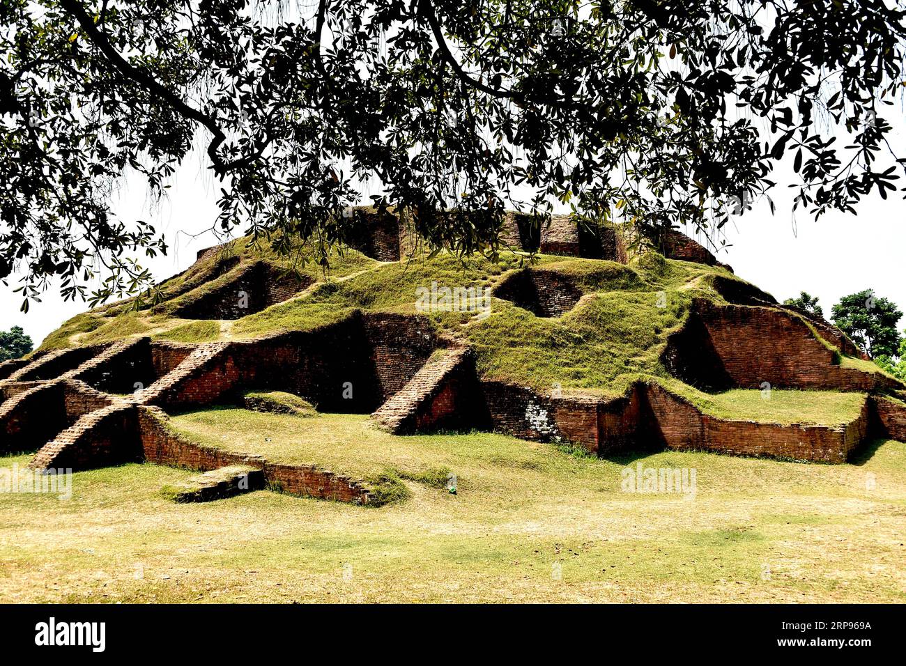 (190326) -- BOGRA, March 26, 2019 -- Photo taken on March 25, 2019 ...