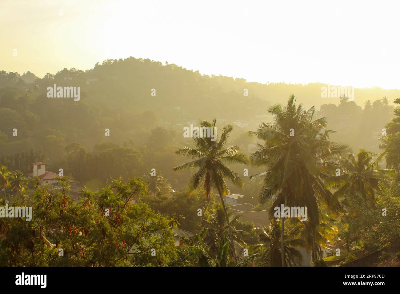 Magical light at the jungles in Kandy, Sri Lanka in the early morning ...