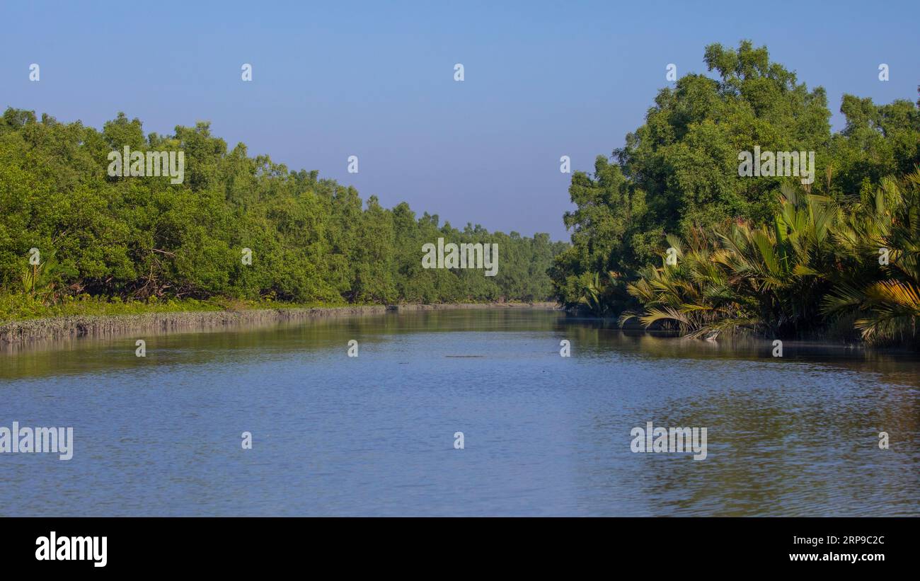 Sundarbans, Bangladesh: Sundarbans Mangrove forest, the largest ...
