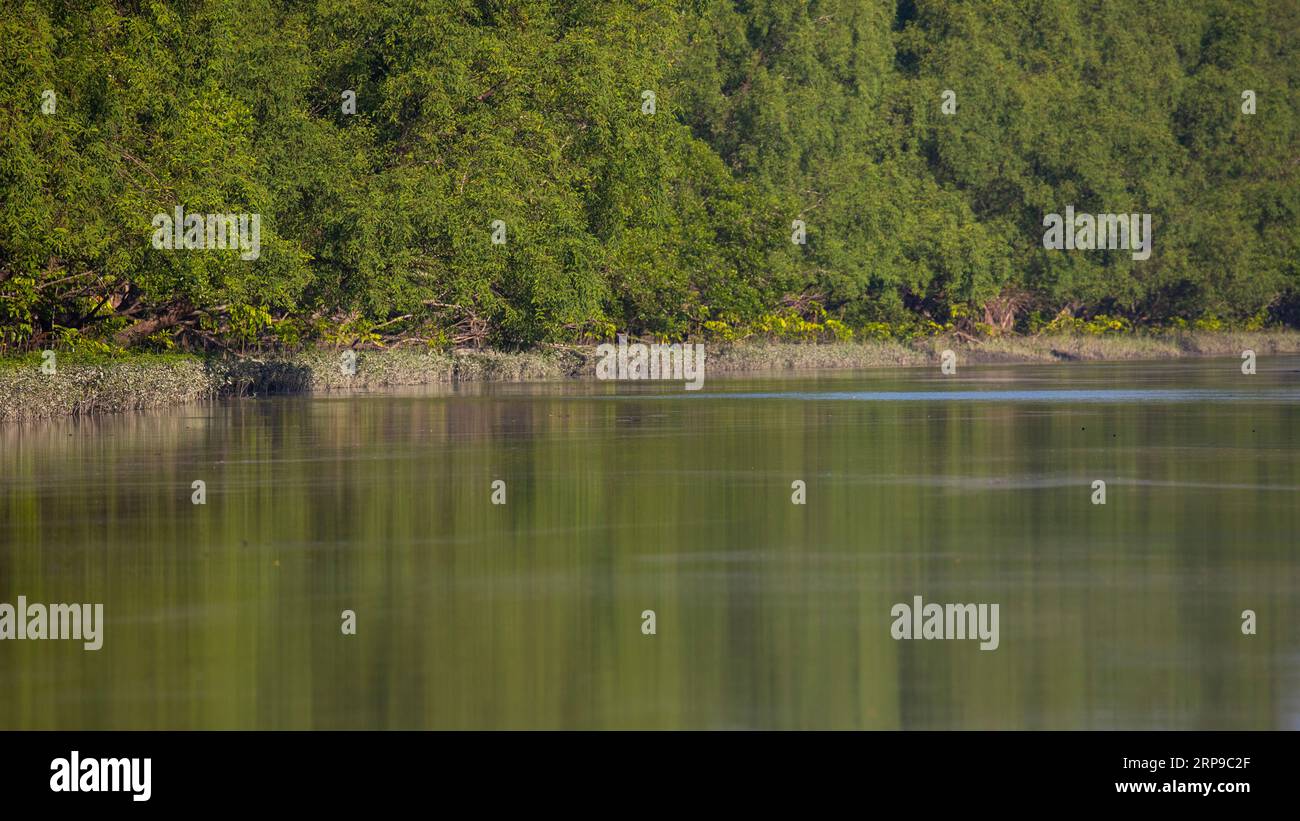 Sundarbans, Bangladesh: Sundarbans Mangrove forest, the largest ...