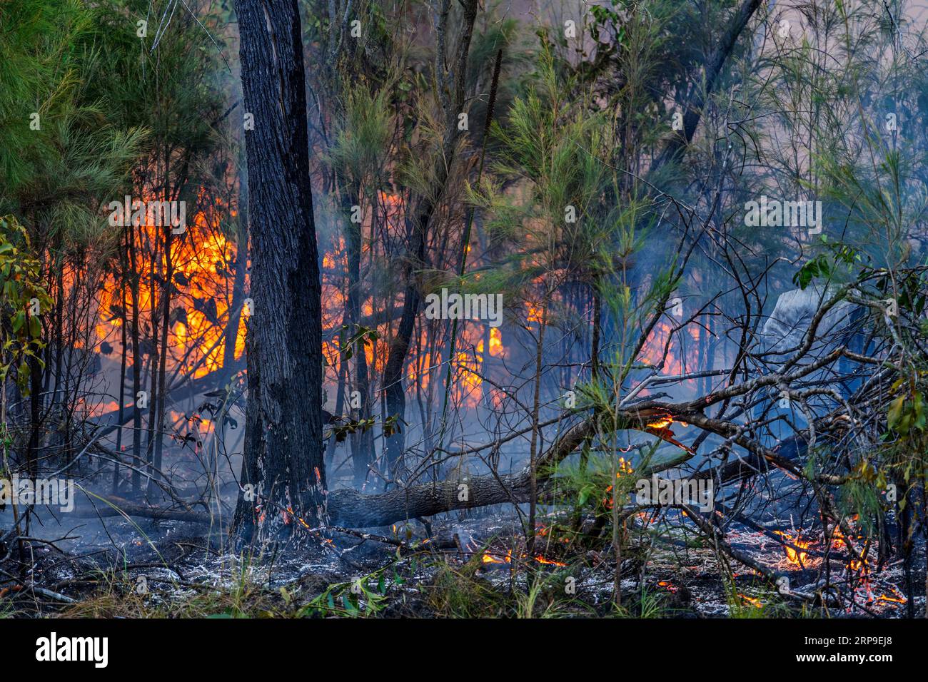 Control burn australia hi-res stock photography and images - Alamy