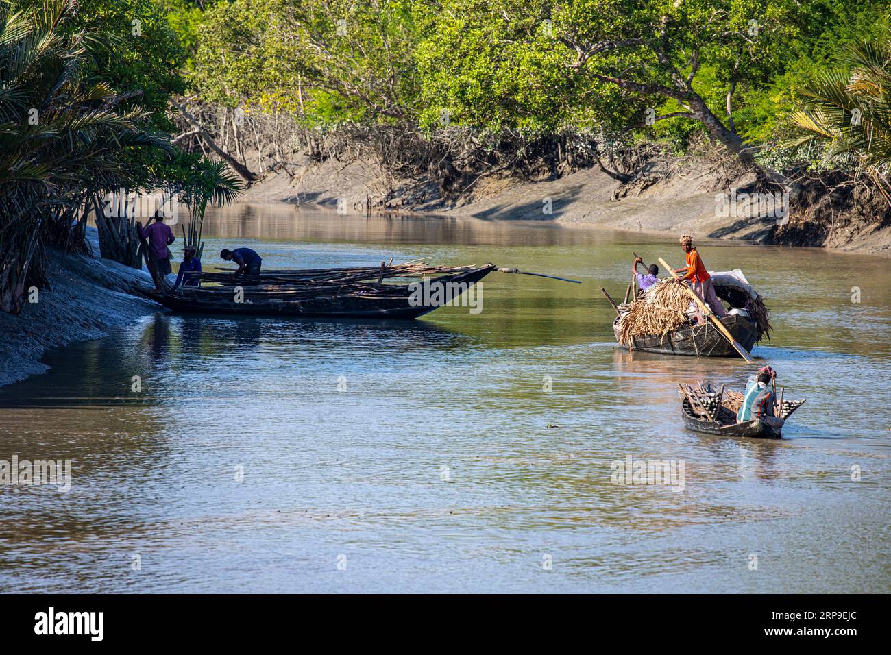 Sundarbans, Bangladesh: Fishermen in Sundarbans, a UNESCO World ...