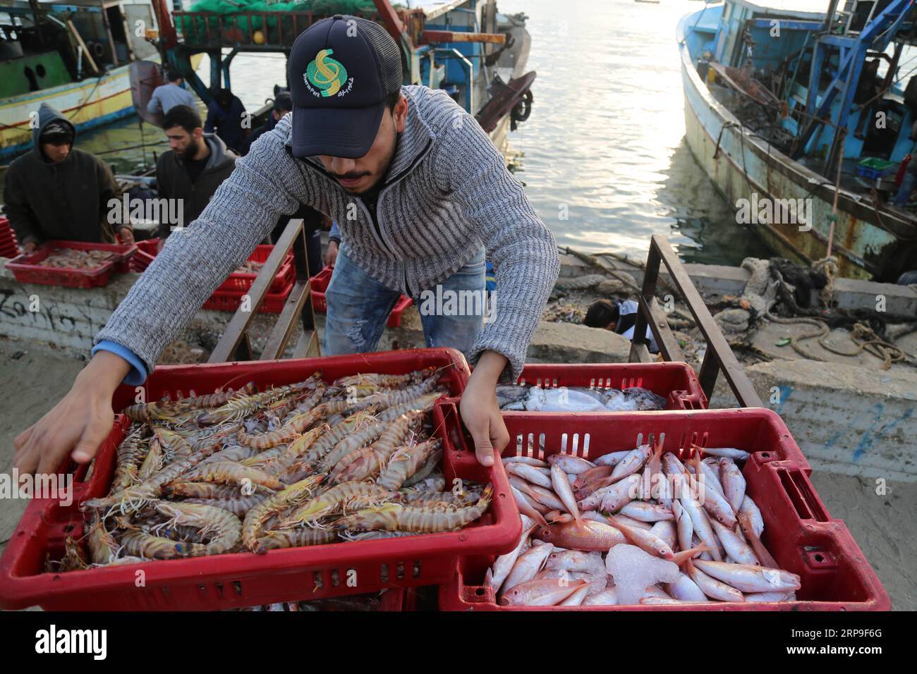 (190405) -- GAZA, April 5, 2019 -- A Palestinian fisherman displays his ...