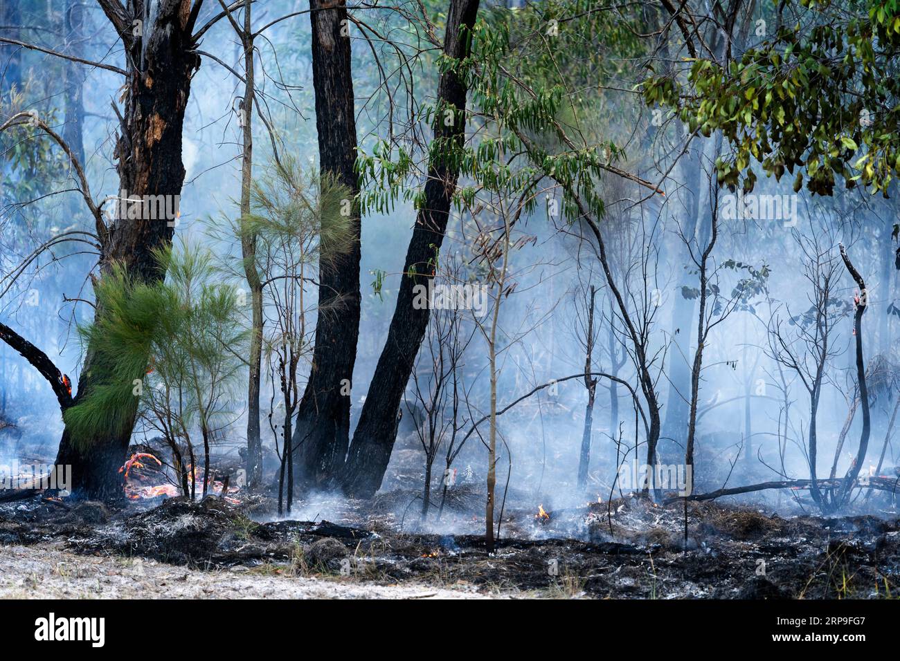 Smoke and flames rising from burnt bushland after controlled burn ...