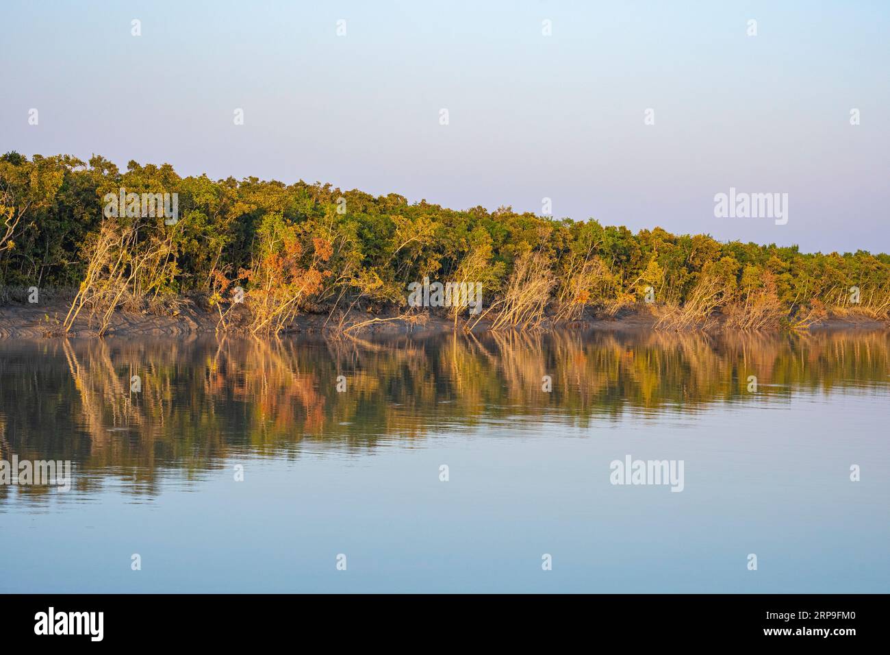 Sundarbans, Bangladesh: Sundarbans Mangrove forest, the largest ...