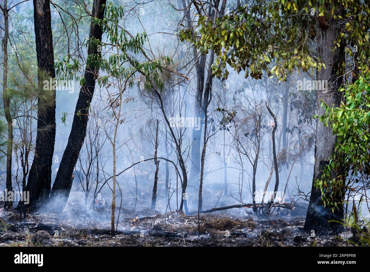 Control burn australia hi-res stock photography and images - Alamy