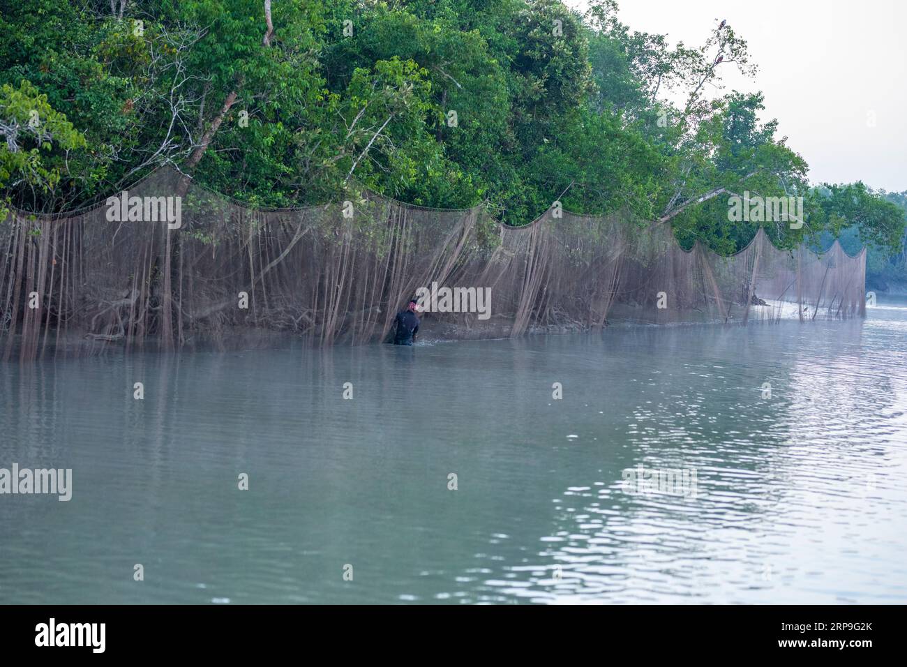 Sundarbans, Bangladesh: Fishermen in Sundarbans, a UNESCO World ...