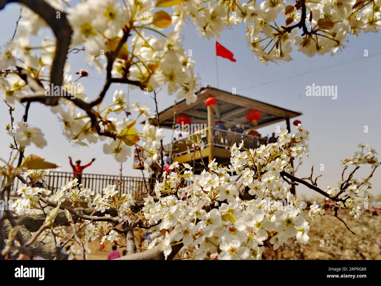 Yang wanli hi-res stock photography and images - Alamy