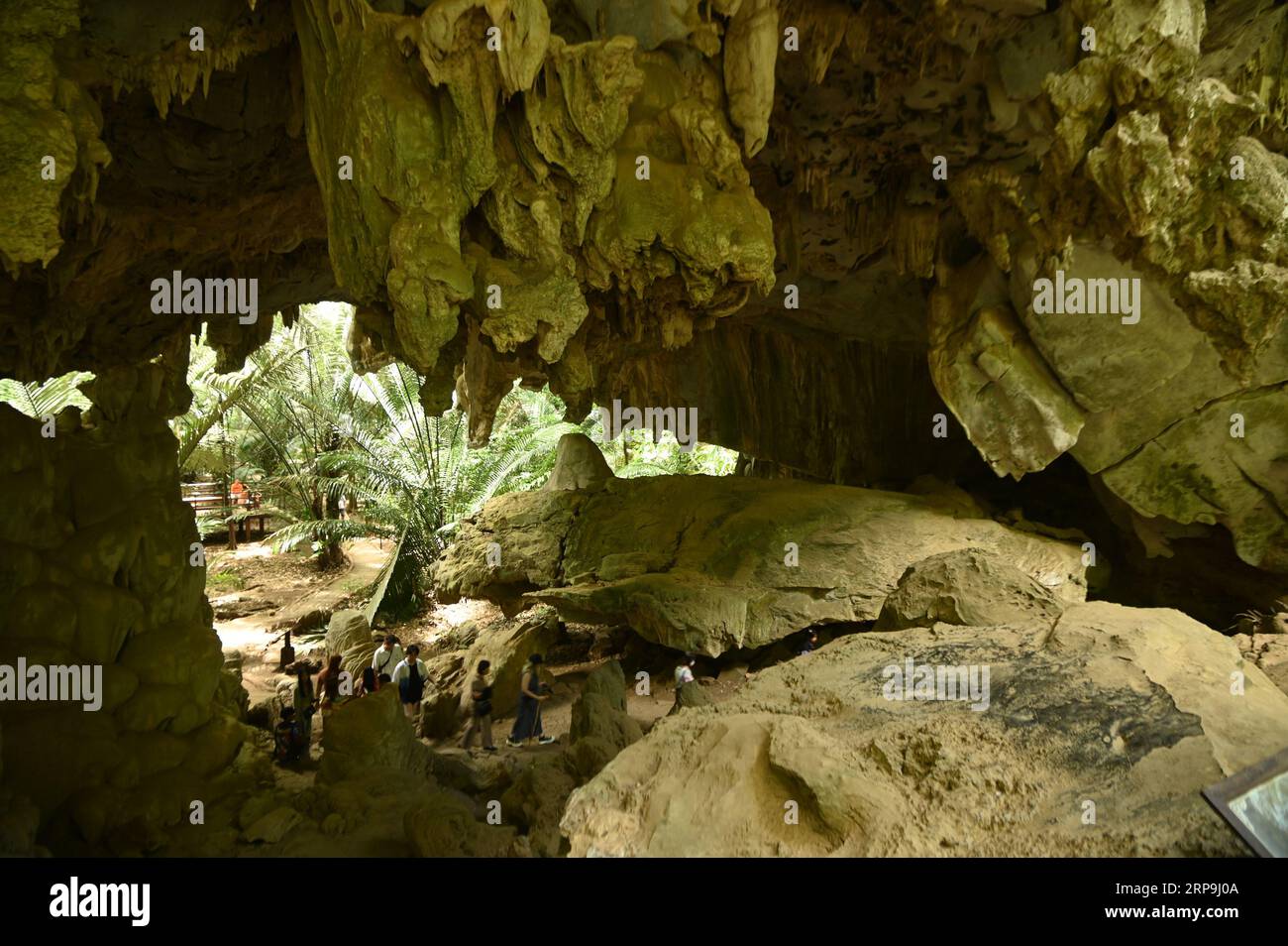 Hup Pa Tat is a valley is like a primeval forest and is Unseen in ...