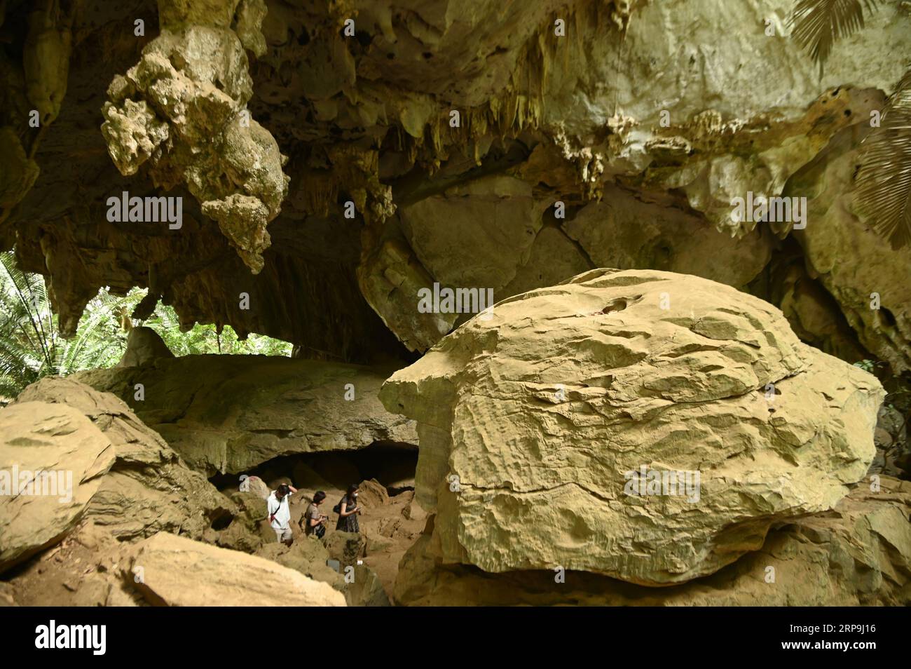 Hup Pa Tat is a valley is like a primeval forest and is Unseen in ...