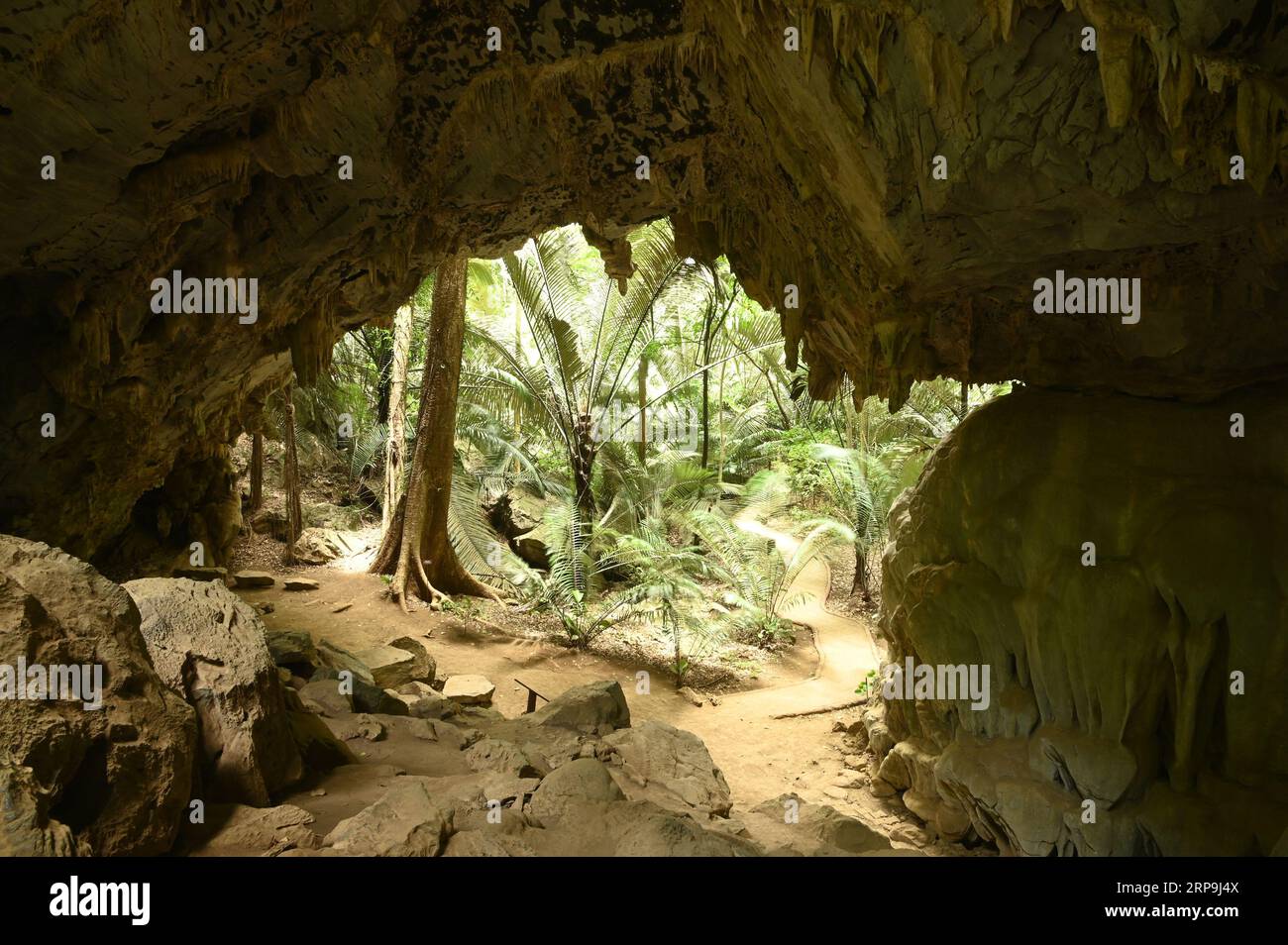 Hup Pa Tat is a valley is like a primeval forest and is Unseen in ...