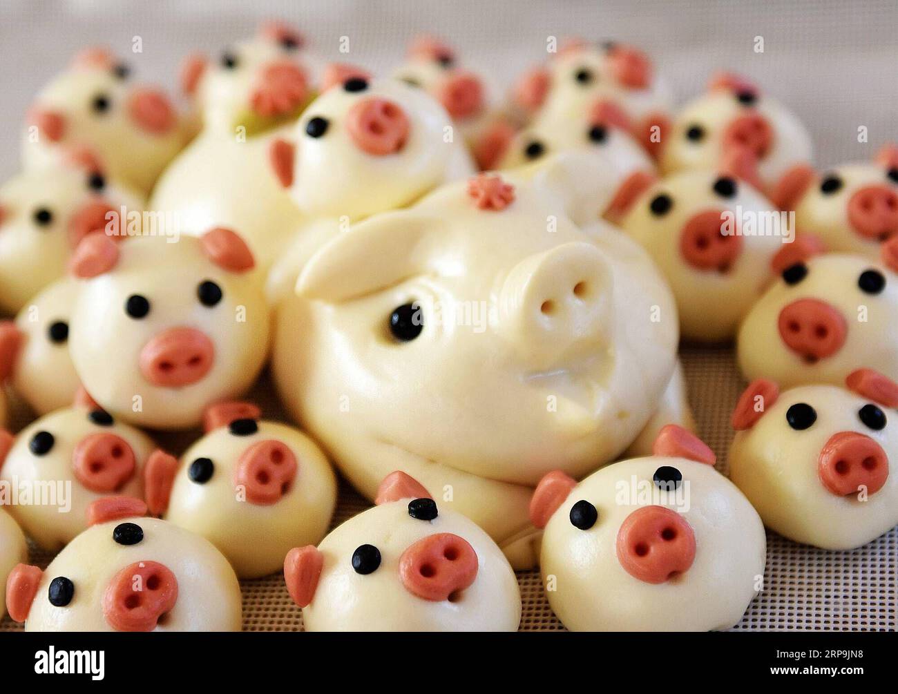 Pig births reboundcn hi-res stock photography and images - Alamy