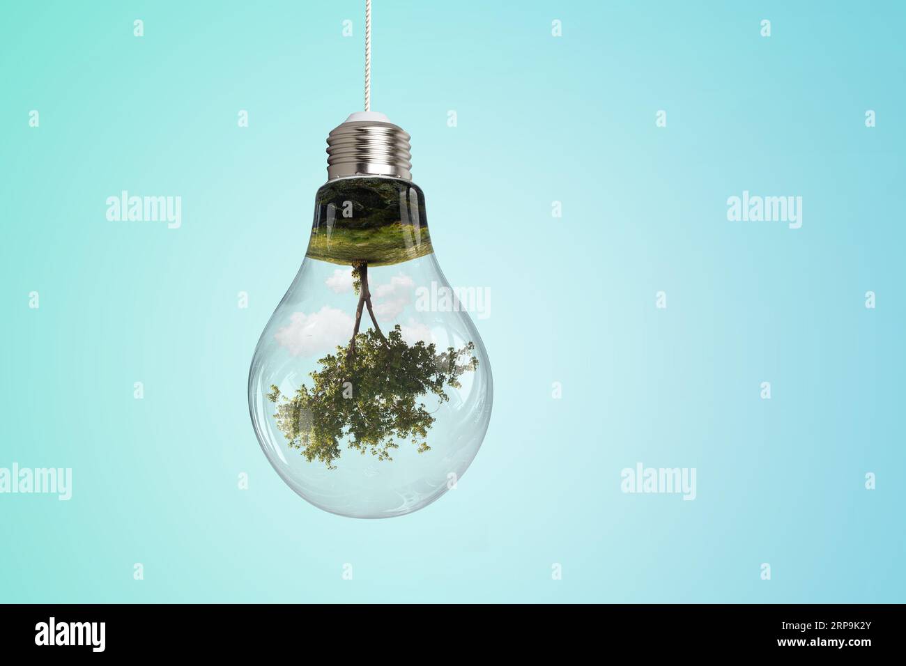Tree growing inside light bulb Stock Photo - Alamy