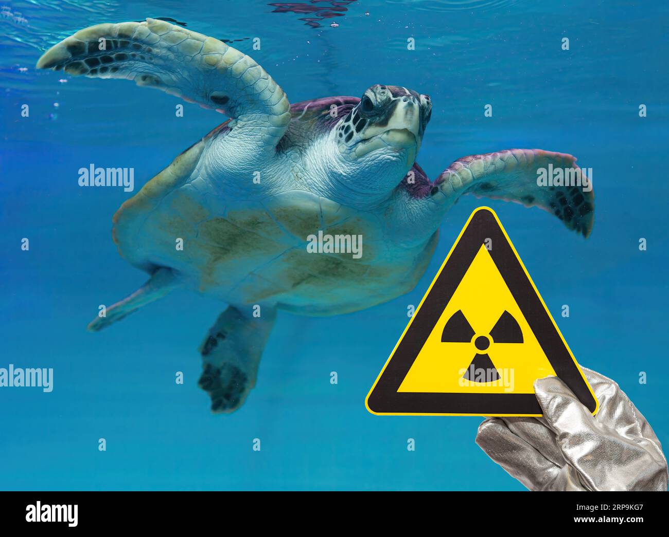 nuclear radiation warning sign and a sea turtle Stock Photo - Alamy