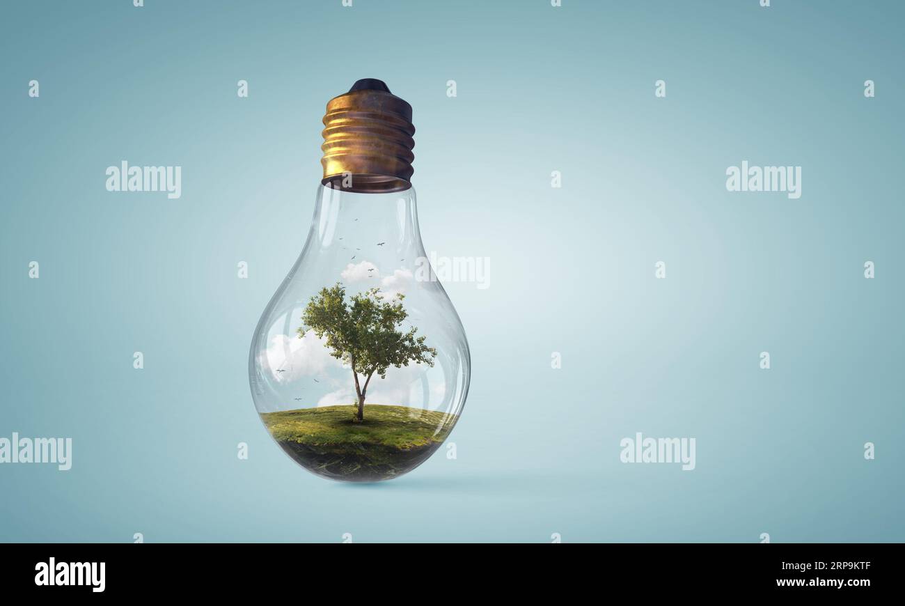 Tree growing inside light bulb Stock Photo - Alamy
