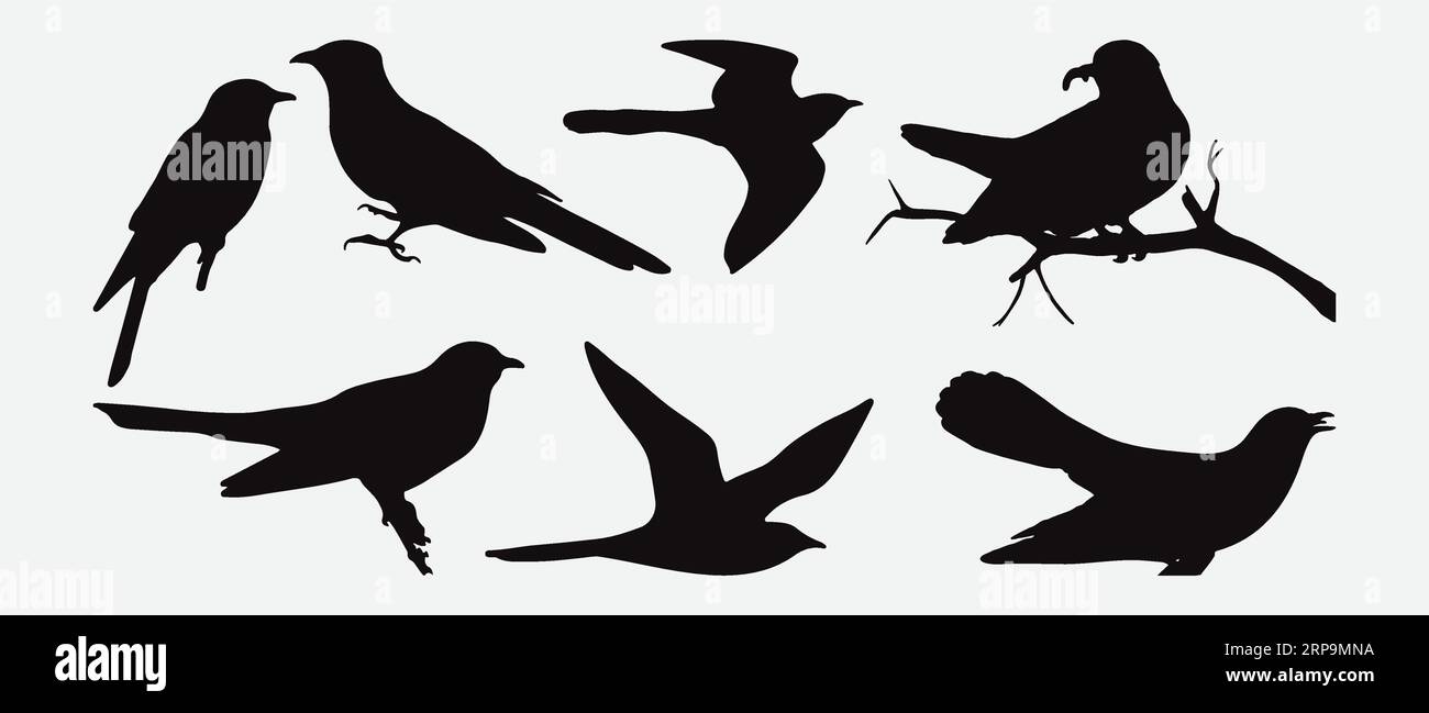 Elegance in Motion, Exquisite Silhouette Cuckoo Bird Set - Vector ...