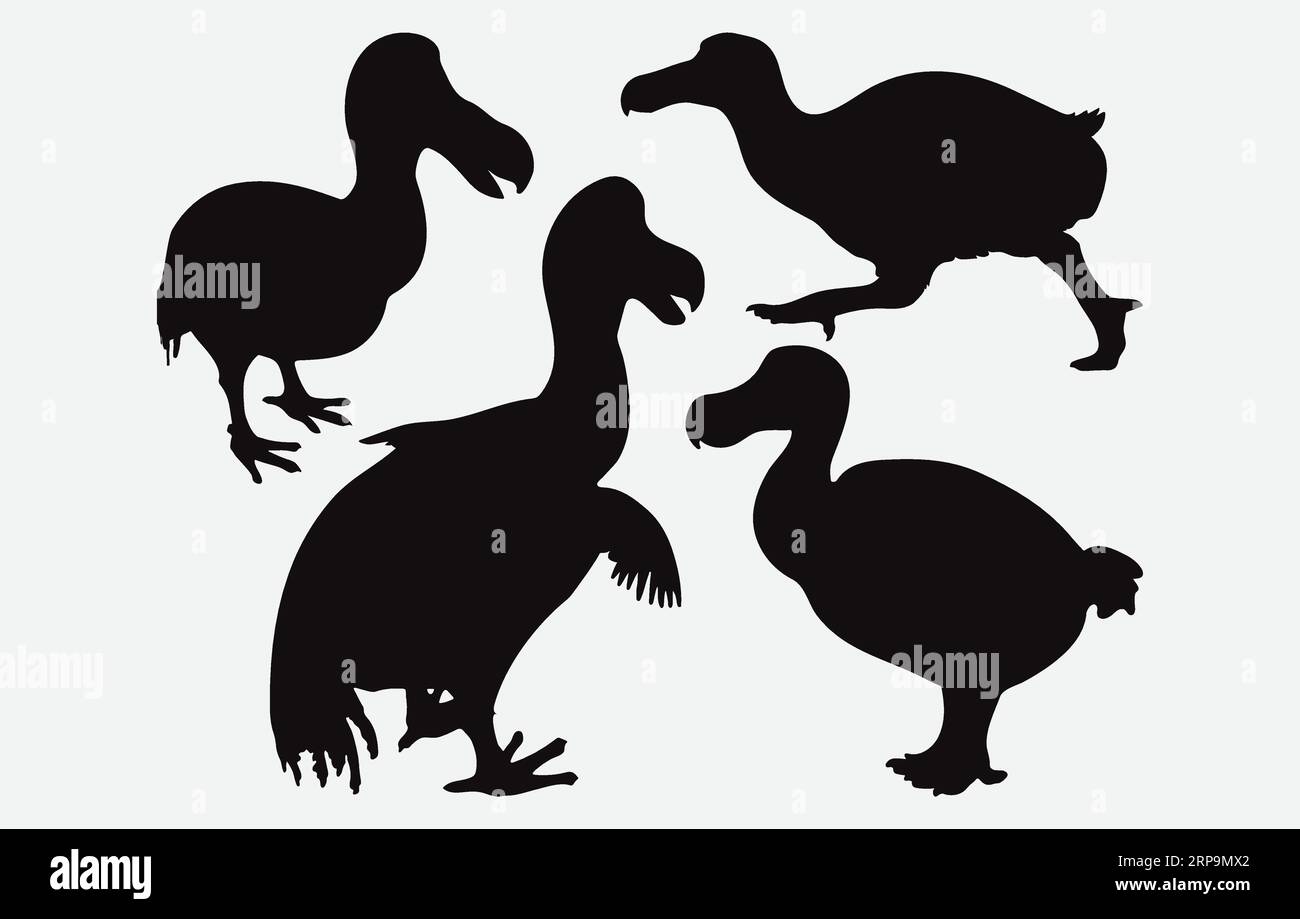Exquisite Collection of Dodo Bird Silhouettes, Graceful Avian ...
