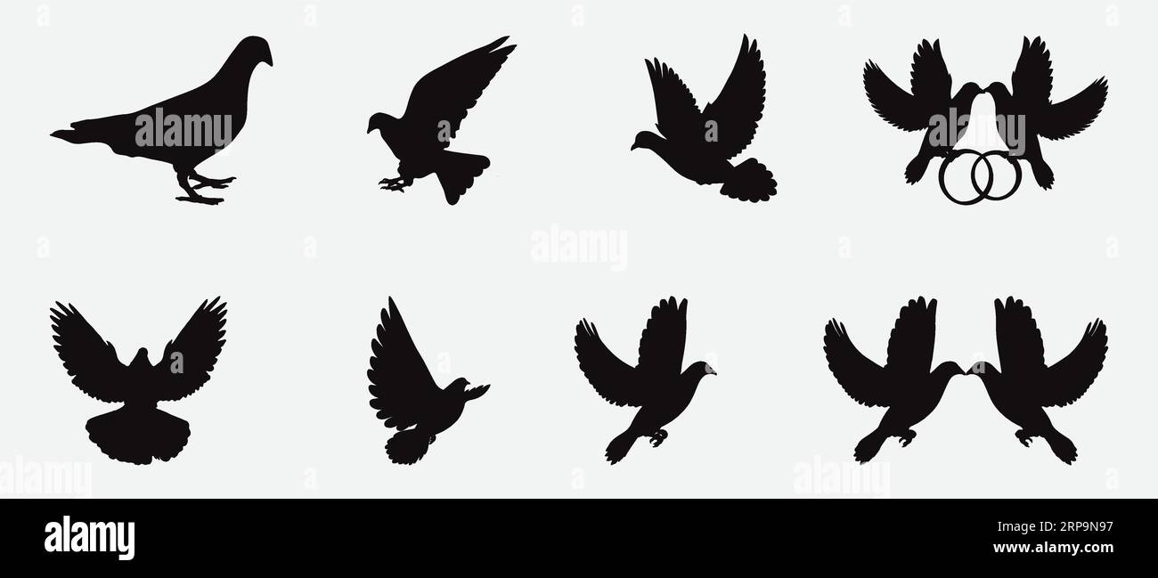 Mourning Dove Silhouette
